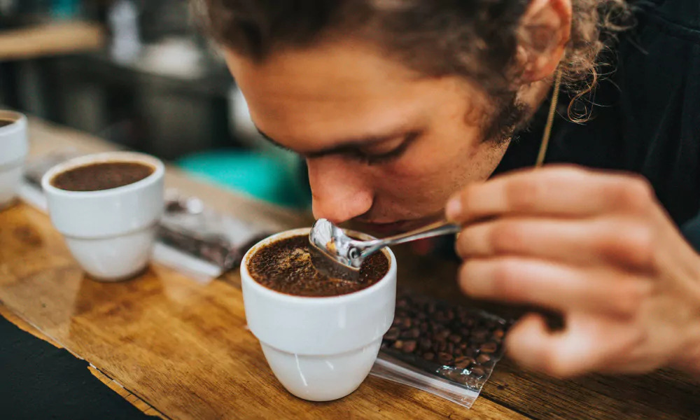 Sensory Analysis - Its Methods & Importance in Coffee - Blog